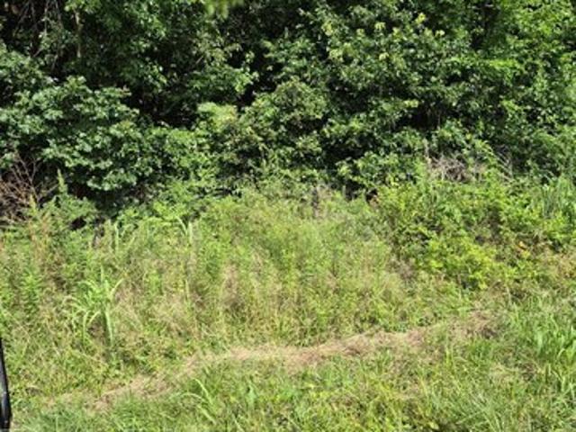 275 Hawkeye Rd Lot 275, Gilbertsville, KY 42044