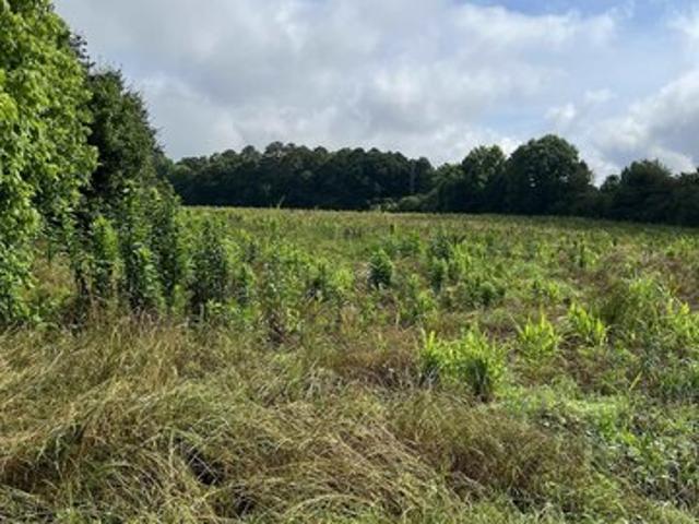 275 Highland Dr, Arab, AL 35016