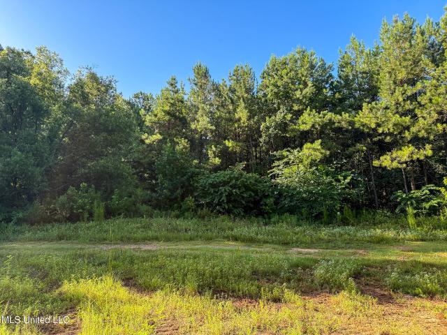 275 J M Burge Rd, Hattiesburg, MS 39402 | MLS #4119