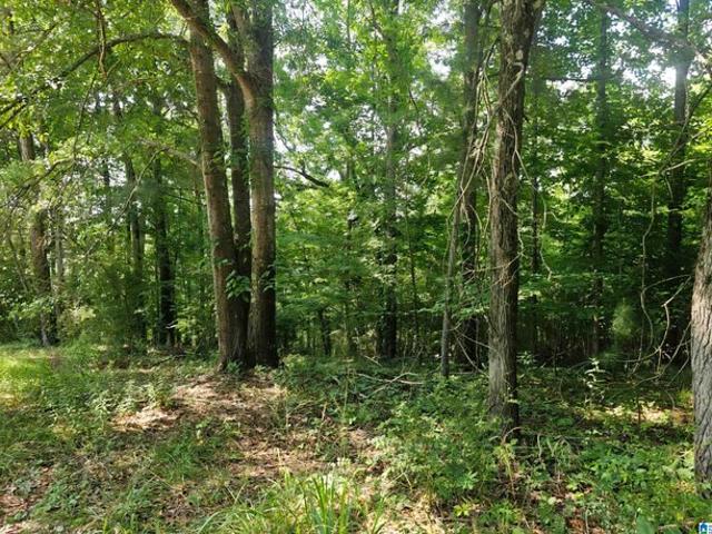 275 Miller St Lot 76, Margaret, AL 35120