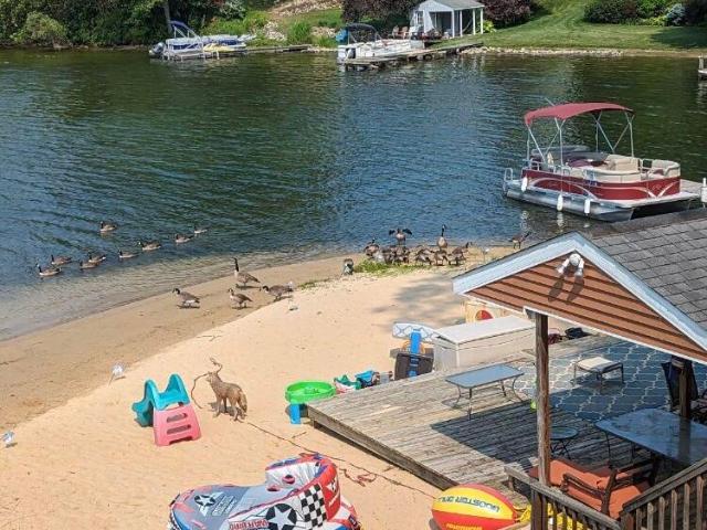 275 Saint Marys Lake Road