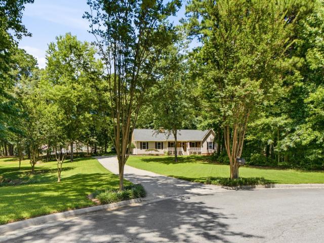 275 Pine Tree Lane