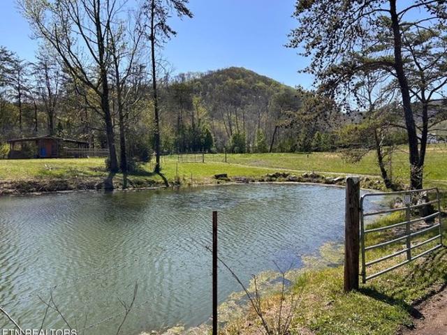 275 Republican Hill Rd, Newcomb, TN 37819