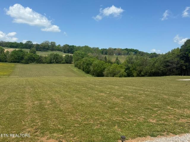 275 Thompson Rd