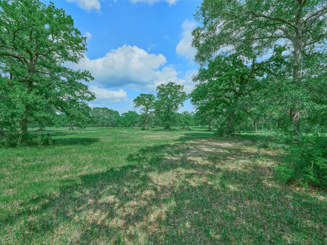 27610 Log Cabin Rd, Montgomery, TX 77356 | MLS #71432