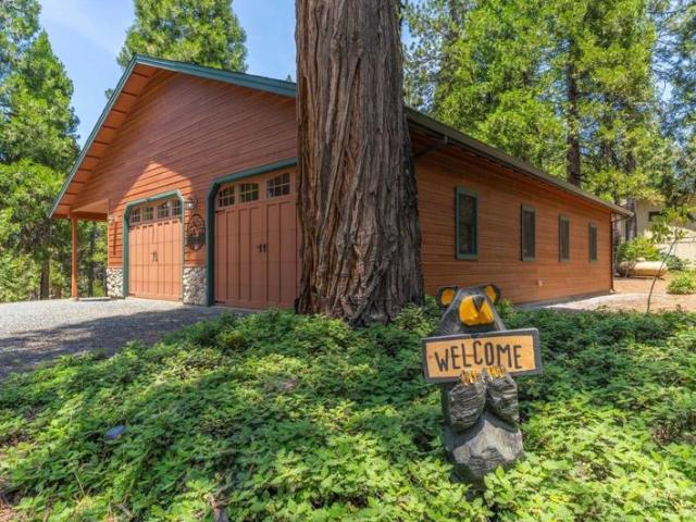 27625 Hwy 88, Pioneer, CA 95666 MLS 224040256