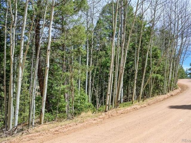2763 N Mountain Estates Rd, Florissant, CO 80816