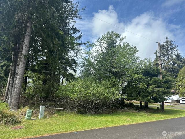 276 Bass Ave NE, Ocean Shores, WA 98569 | MLS #2230 | Compass