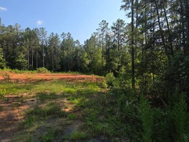 276 Bishop Rd, Meansville, GA 30256