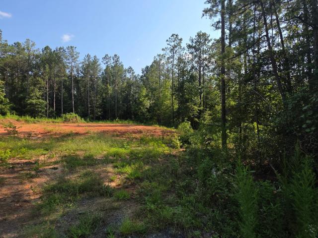 276 Bishop Road