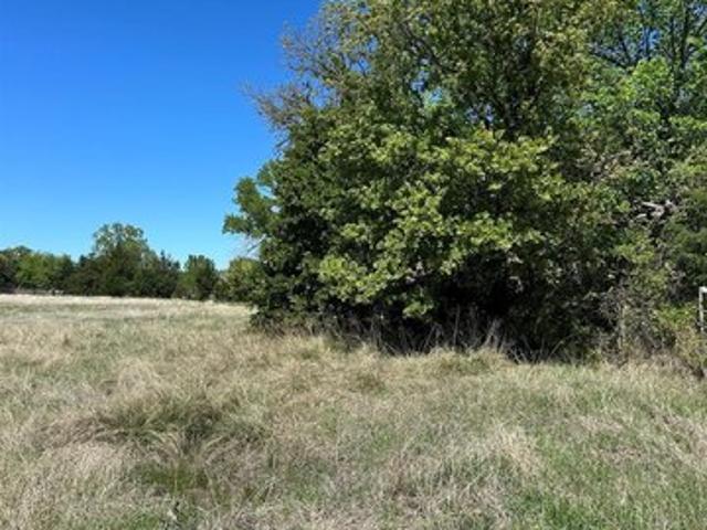 276 Legacy Ln, Bowie, TX 76230
