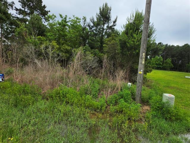 2777 County Road 3479b