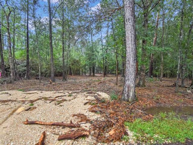 2770 Colonial Dr, Kountze, TX 77625
