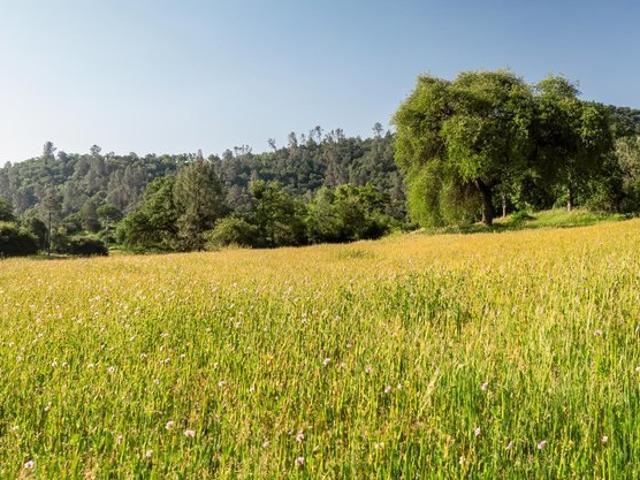 27719 Burrough Valley Rd, Tollhouse, CA 93667