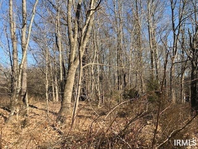 2771 E Pointe Cove Rd, Clear Creek, IN 47401