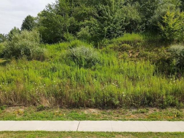 2771 Superior Drive