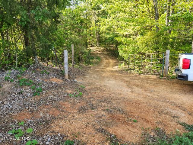 277 County Road 408