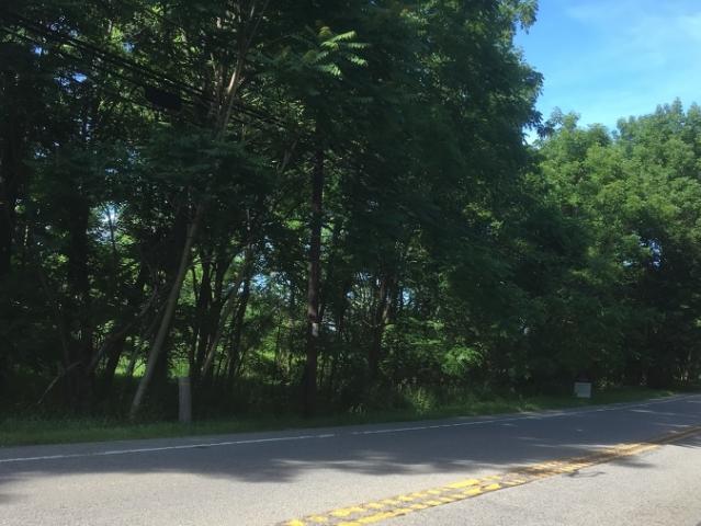 277 Highway 94, Vernon, NJ 07462 | MLS #3842