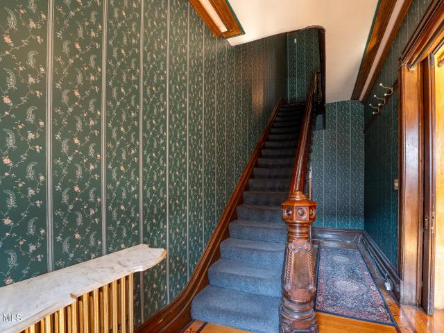 277 Lark Street