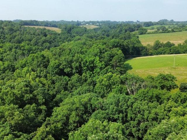 277 Needham Ln, Dry Ridge, KY 41035