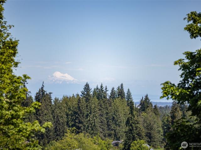 277 Shady Creek Lane