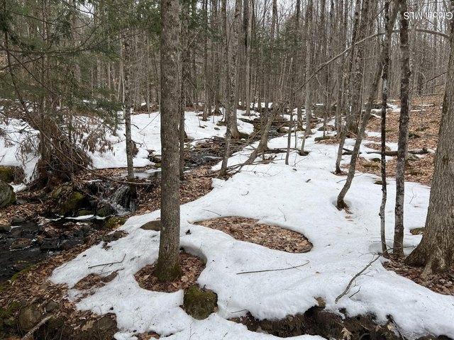 277 Roaring Branch Rd, Stony Creek, NY 12878
