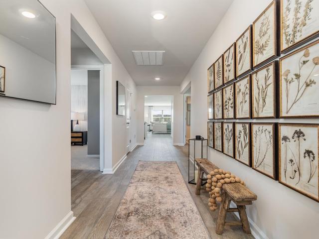 277 Red Buckeye Dr