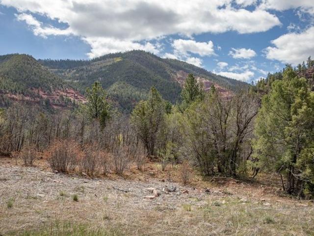 277 Trunk Rd, Placerville, CO 81430