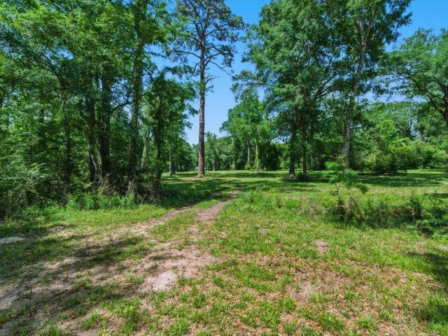 27855 Kresdorn Rd, Hockley, TX 77447 | MLS #98904