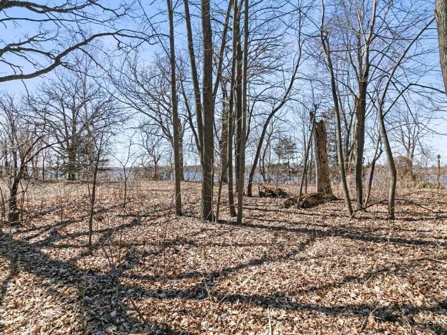 27861 nd Ave, Dassel, MN 55325 | MLS #7050