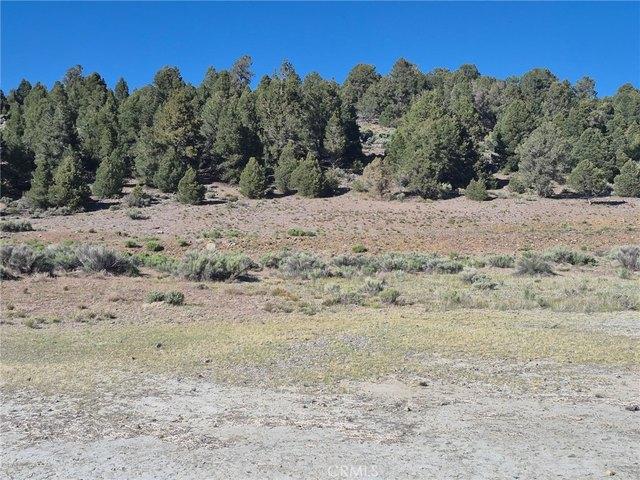 2787 Erwin Ranch Rd, Big Bear City, CA 92314
