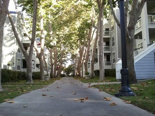 $2787 / 1br 700ft² Spacious 1 BR 1 BA with Vaulted Ceiling For Immediately Move In!