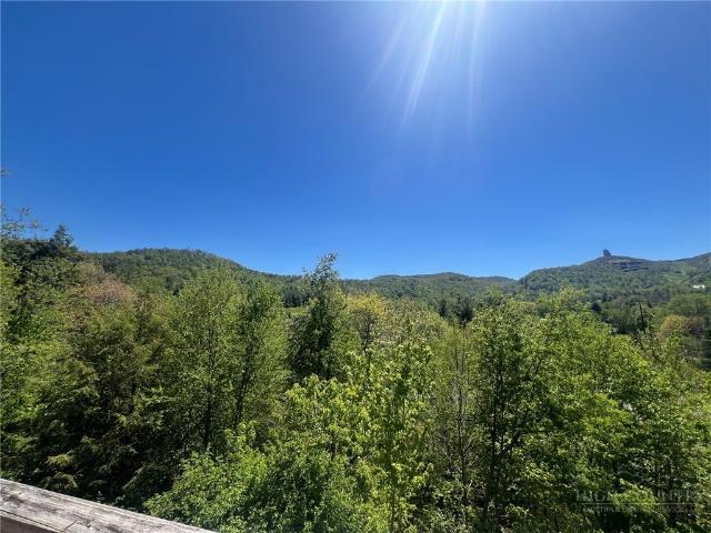2780 Tynecastle Highway
