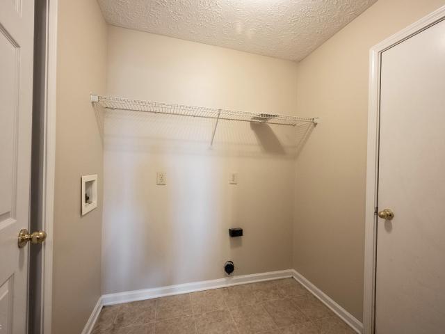 2781 Grand Fir