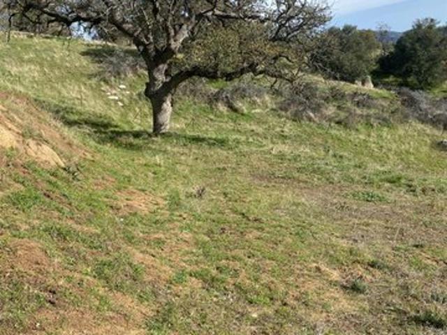 27833 Buckeye Canyon Rd, Keene, CA 93531