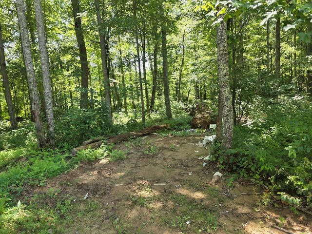2783 Glade Creek Road