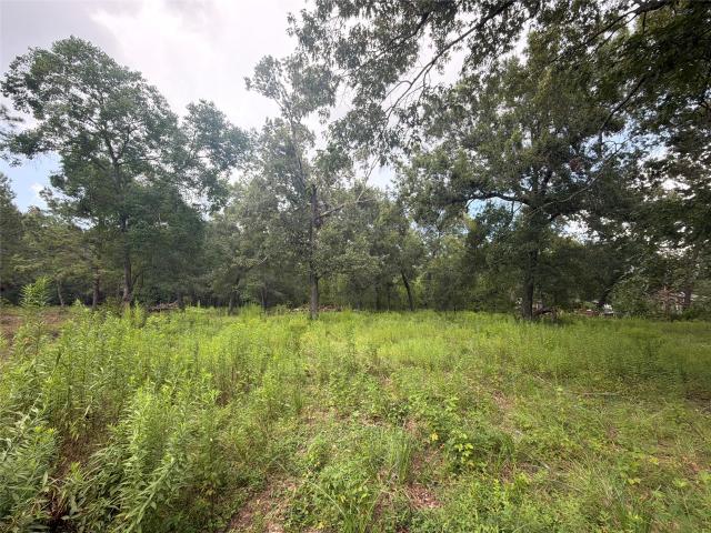 278 County Road 6502 W
