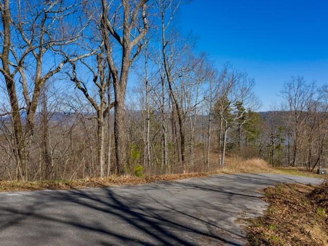 278 Carters Lake, Ranger, GA 30734 | MLS #424923