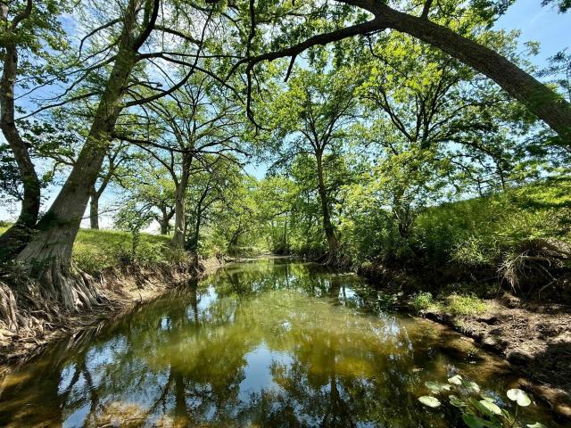 278+/ Acres, Kendall County Frashier Creek Ranch, 8 Smiser Smith Road, Boerne, US, TX