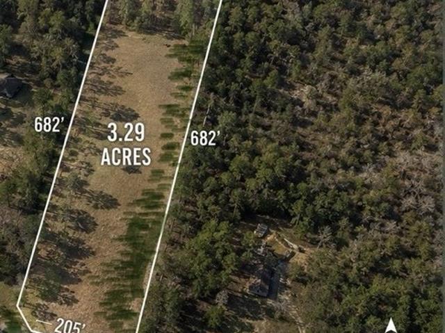 278 Reggie Ln, Trinity, TX 75862