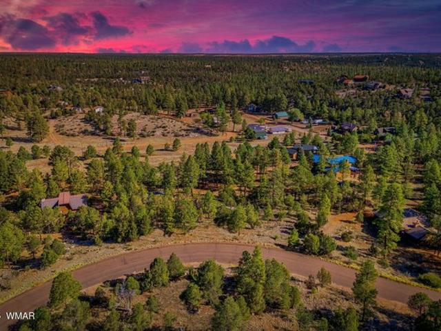 2794 Skyhawk Dr, Overgaard, AZ 85933