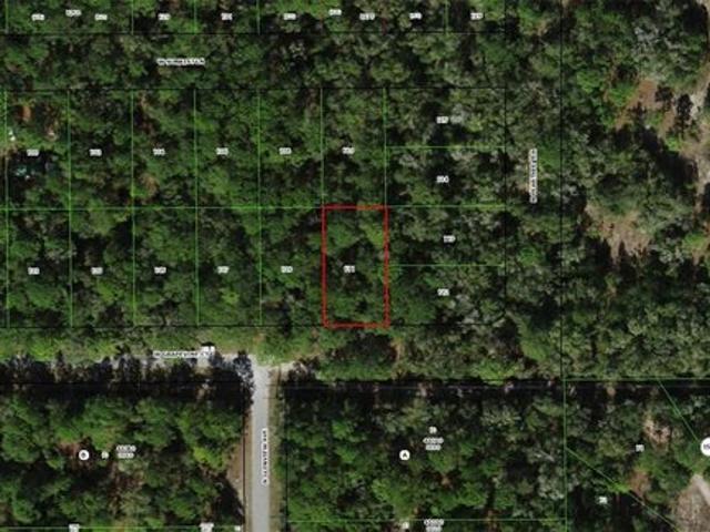 2797 W Grapevine Ct, Dunnellon, FL 34433