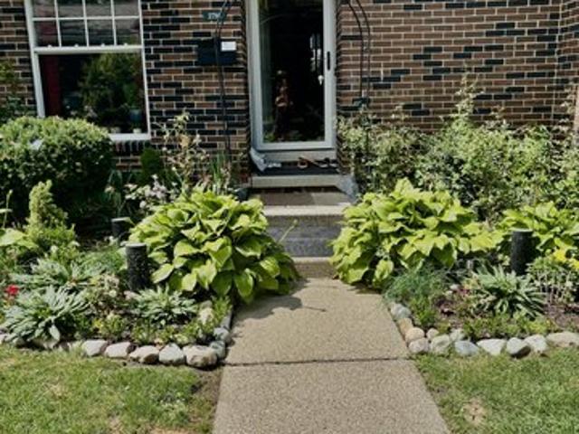 2798 Page Ave, Ann Arbor, MI 48104