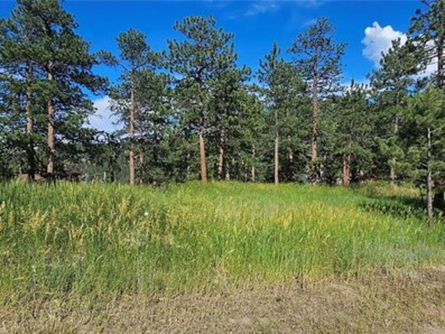 27903 Pine Dr, Evergreen, CO 80439