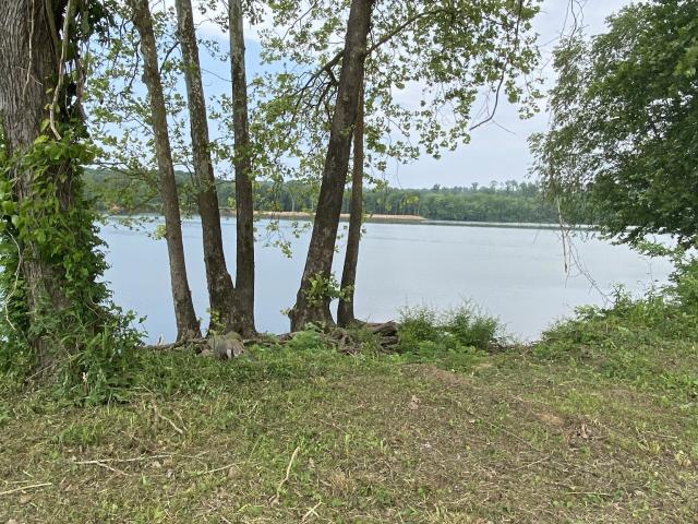 279 Hardin Bottom River Rd, Clifton, TN 38425 | MLS #3185