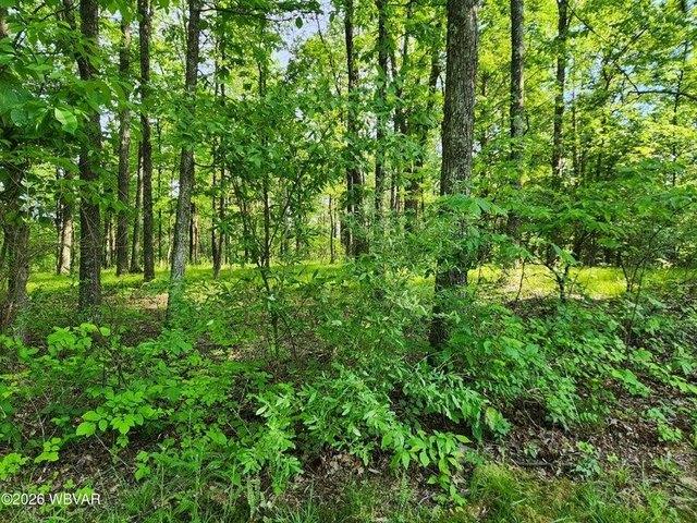 279 Oak Ln Lot 79, Muncy Valley, PA 17758