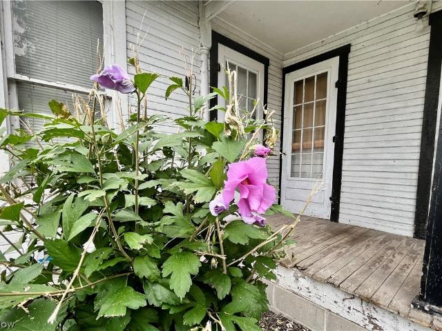 279 Wilson Street