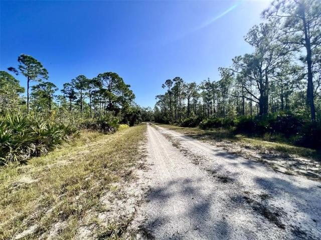 28060 Argyle Dr, Punta Gorda, FL 33955 | MLS #C7496