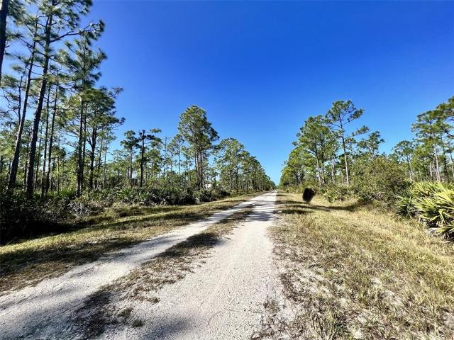 28060 Argyle Dr, Punta Gorda, FL 33955 | MLS #C7496