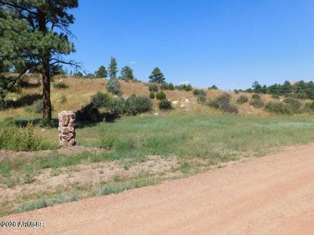 2806 2 Pine Hill Dr Units 013 & 014, Overgaard, AZ 85933